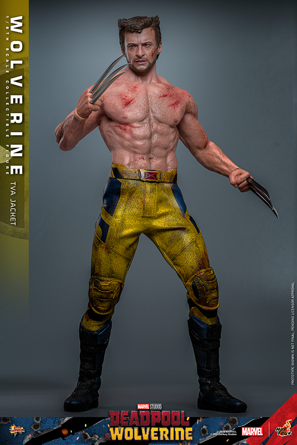 HOT TOYS : WOLVERINE 1/6 SCALE (TVA Jacket Version) : Metal Bridges ...