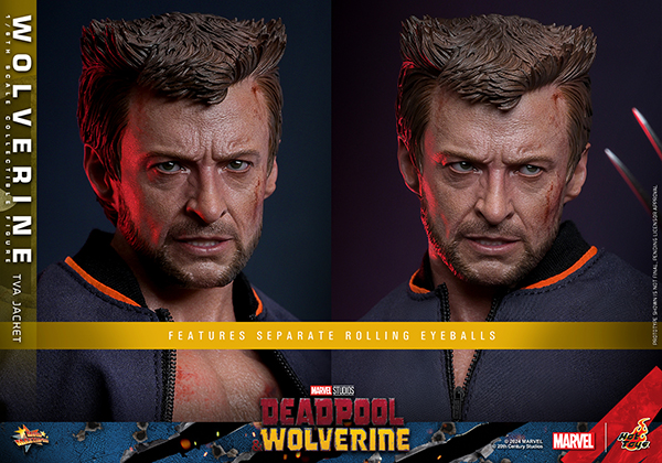 HOT TOYS : WOLVERINE 1/6 SCALE (TVA Jacket Version) : Metal Bridges ...