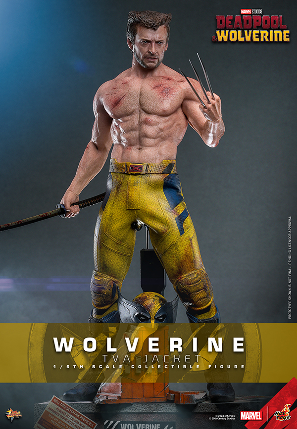 HOT TOYS : WOLVERINE 1/6 SCALE (TVA Jacket Version) : Metal Bridges ...